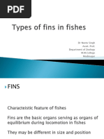 Types of Fish Fins and Their Functions | PDF
