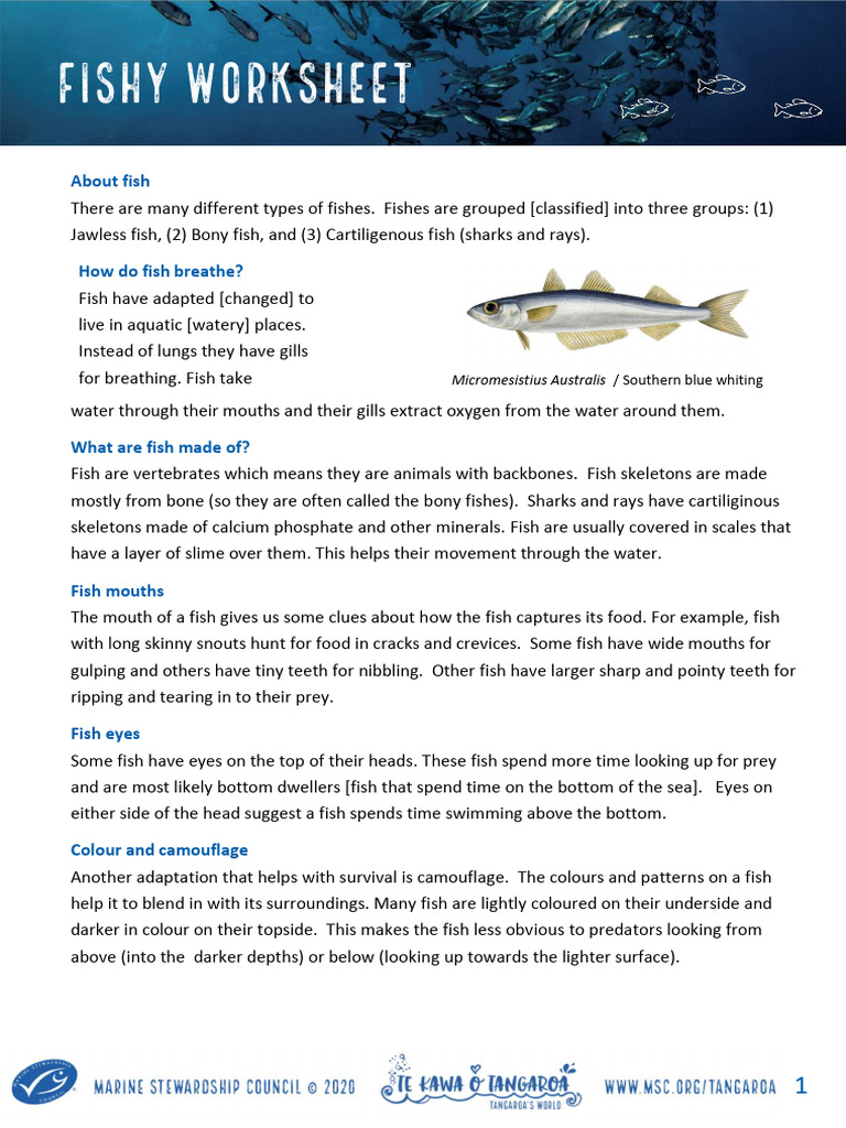 2 2 Fishy Worksheet Final Sept | PDF | Fish