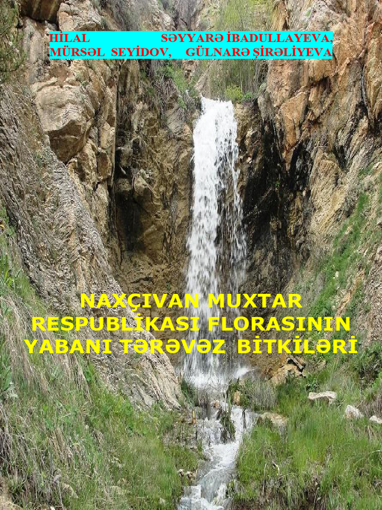 1706299427_1701671256_naxcivan-mr-yabani-terevez-bitkileri-1 | PDF