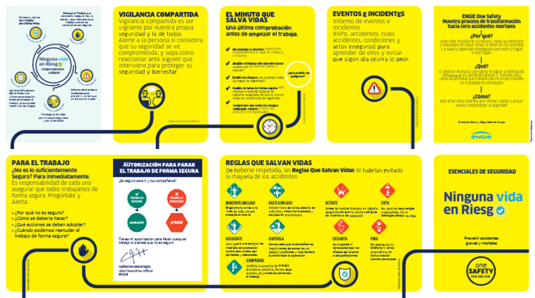 Ninguna Vida en Riesgo | PDF