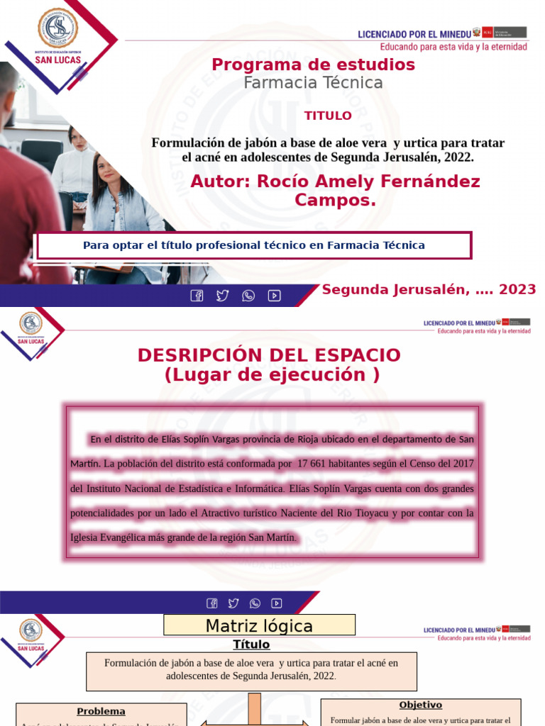 Ppt. SUSTENTACIÓN - ROCÍO AMELY 24 12 | PDF | Jabón