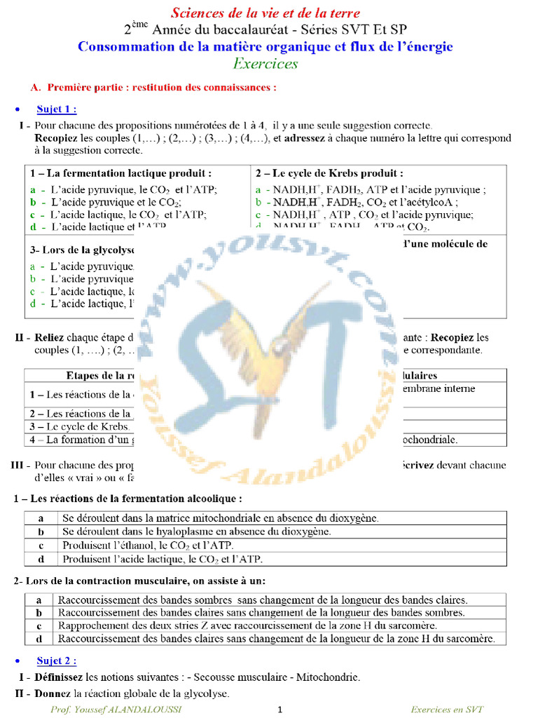 1 Ex Unit1 Sujets | PDF