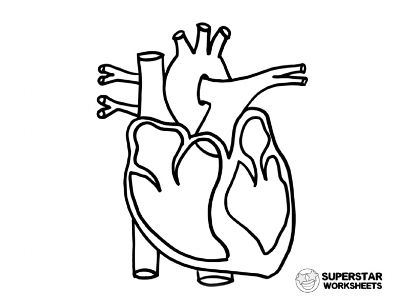 Blank Heart | PDF
