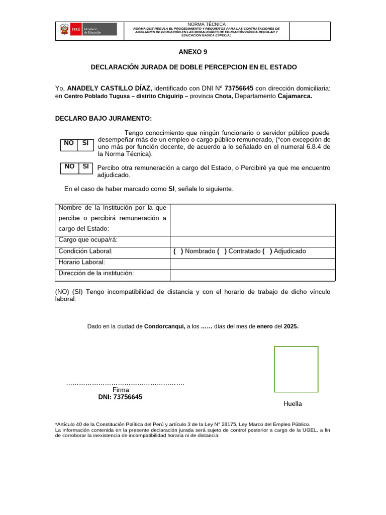 Anexo - 9 - Auxiliar-1 | PDF