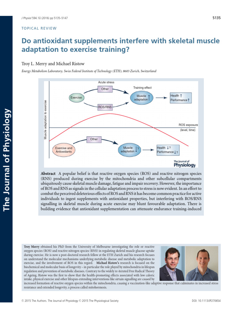 Do antioxidant supplements interfere with skeletal muscle adaptation to ...
