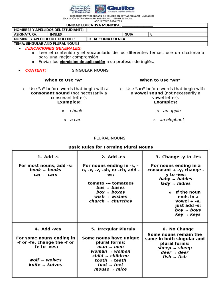 GUIA EBSI 8 | PDF | Plural | Linguistics