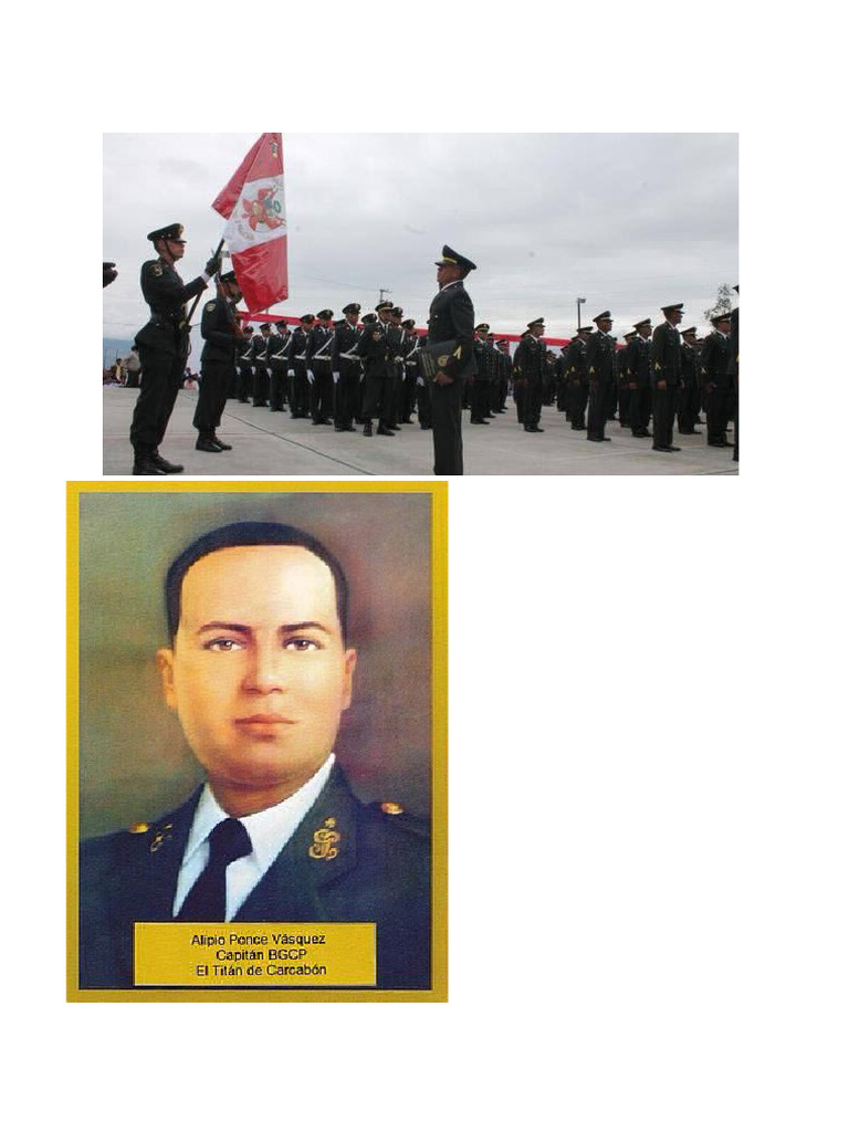 Imagenes Pnp | PDF