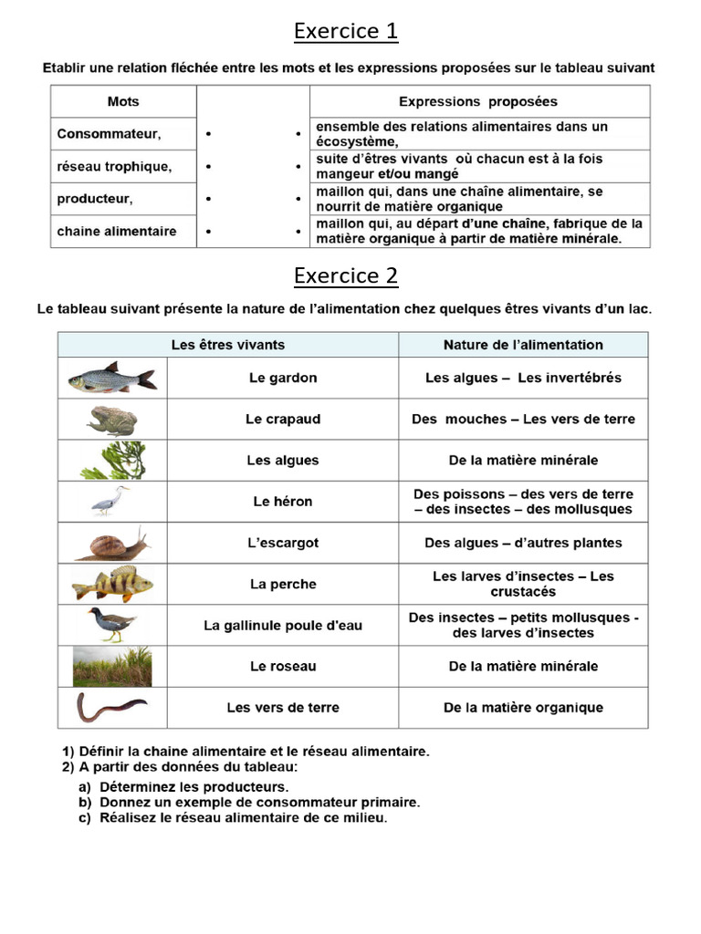 Exercices Flux de La Matière Et Flux D'énergie | PDF