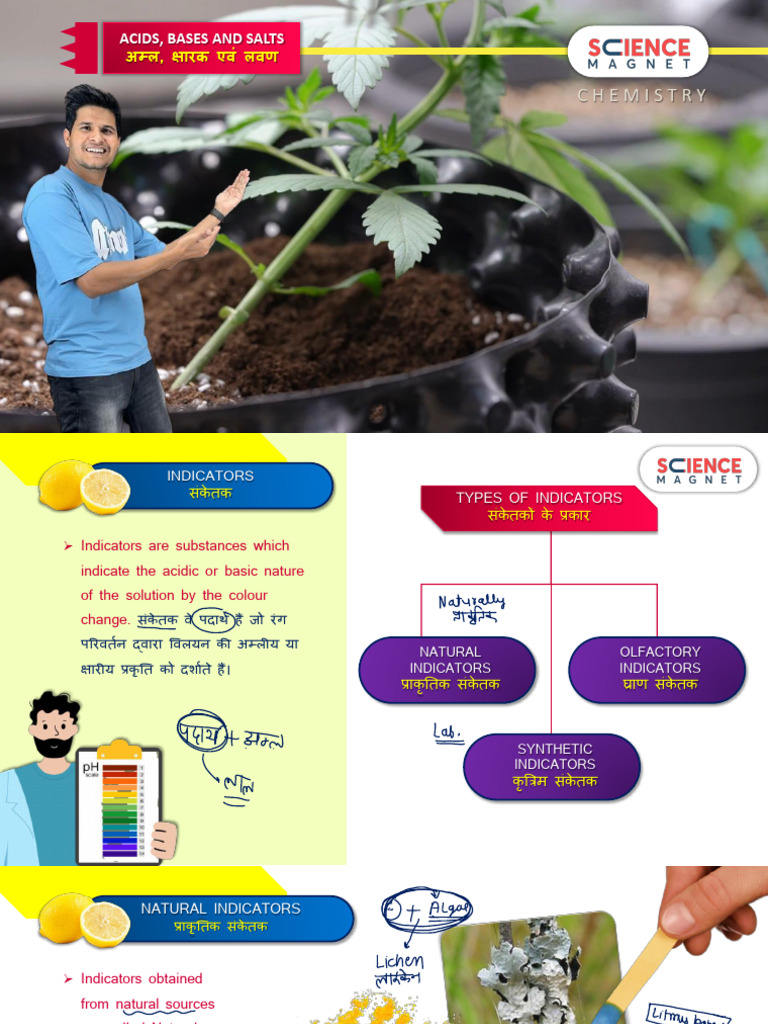Acid Base and Salt | PDF