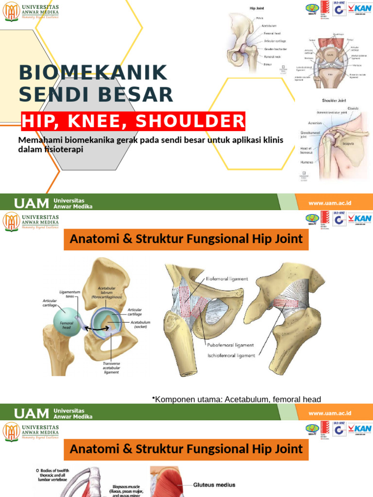 Biomekanika Sendi untuk Fisioterapi | PDF