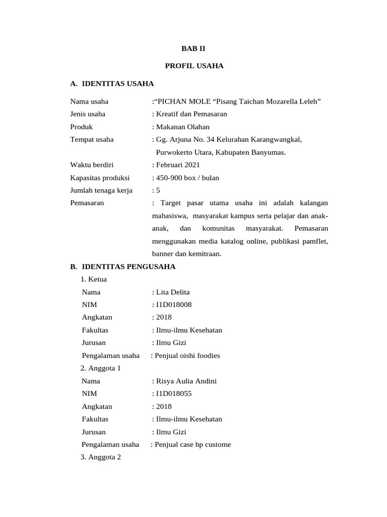 BAB II Profil Usaha Dan Pengelolaan Usaha | PDF