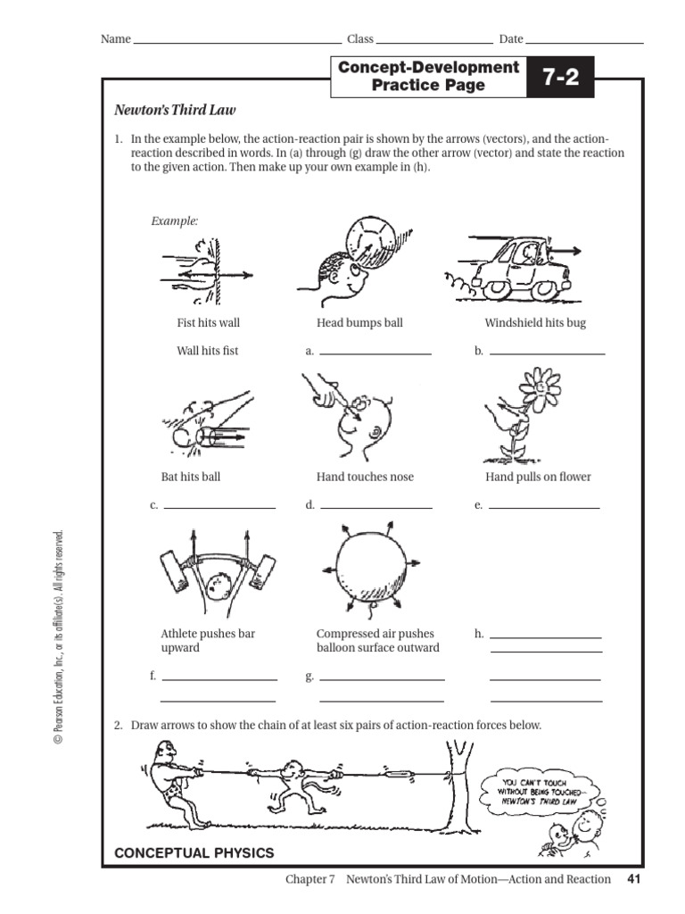 Newton's Third Law Worksheet | PDF | Force | Motion (Physics)