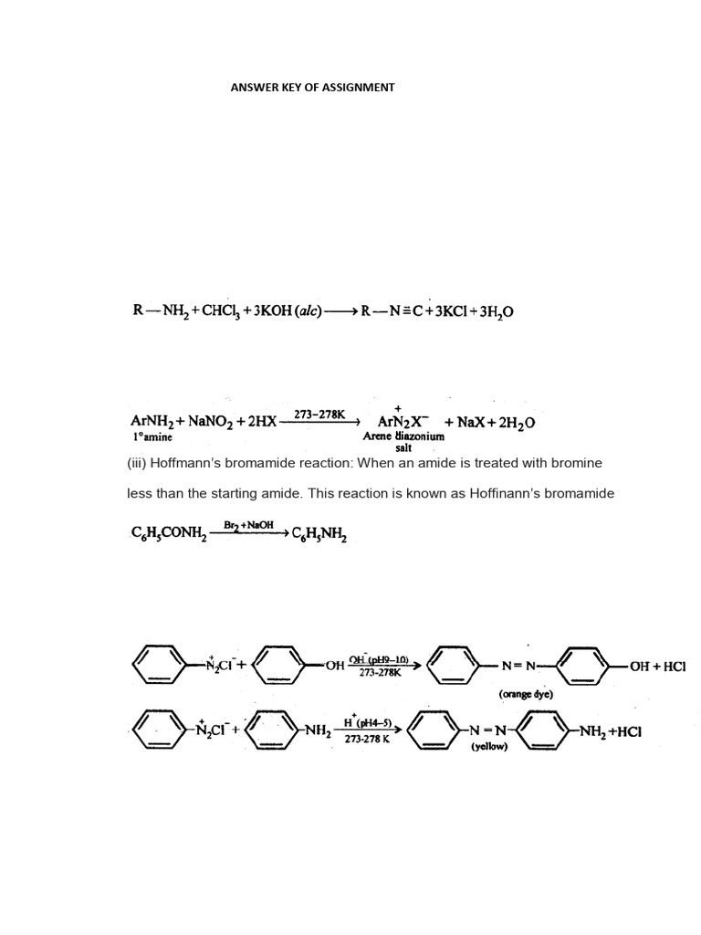 Answer Key of Assignment of Amines | PDF