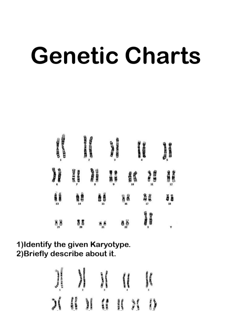 Genetic Charts | PDF
