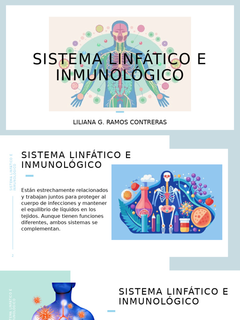 SIST LINFA E INMU | PDF | Sistema inmune | Sistema linfático