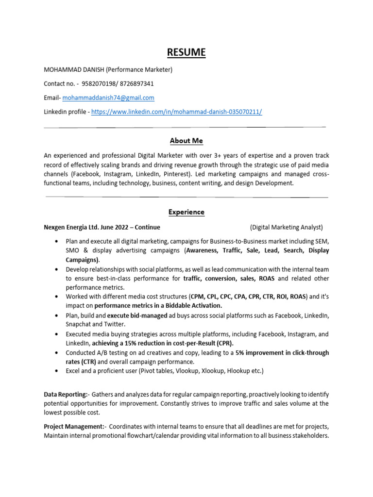 DANISH RESUME | PDF | Digital Marketing | Linked In