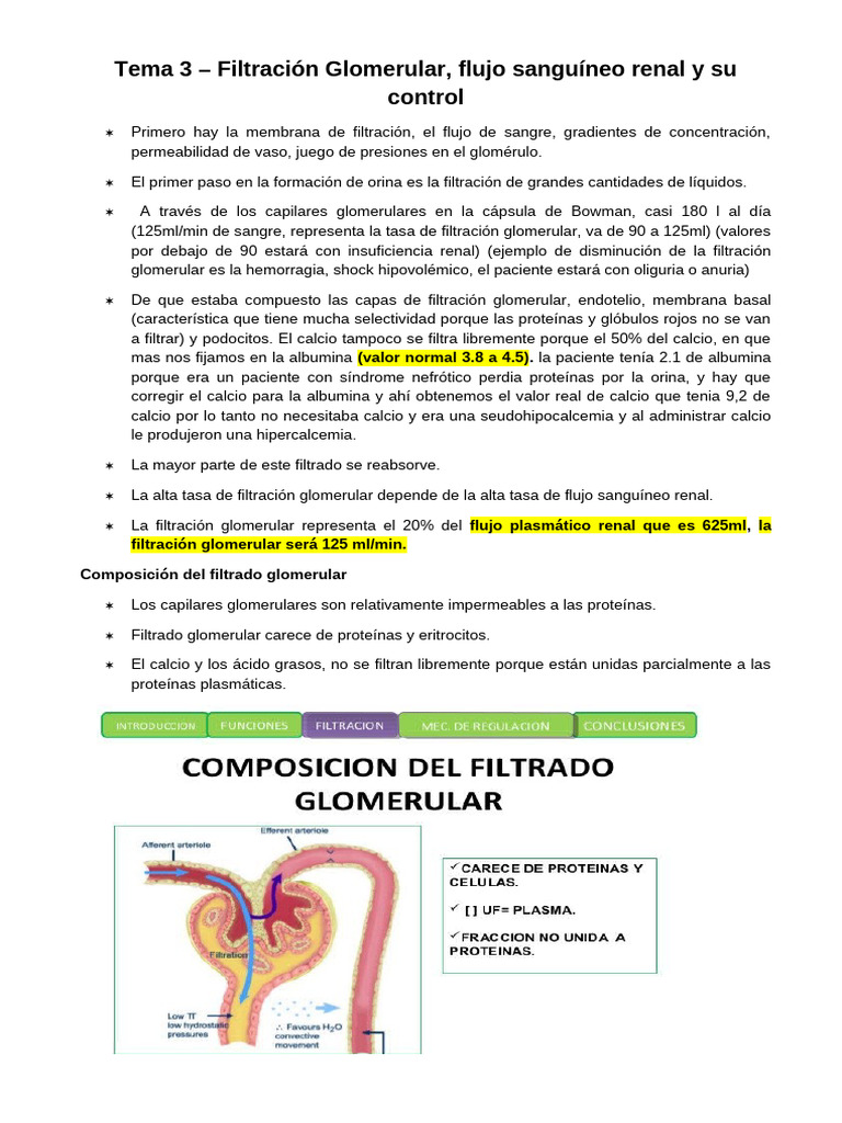 Filtración Glomerular y Control Renal | PDF | Riñón | Angiotensina