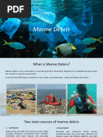 Coastal Clean Up Form | PDF | Nature