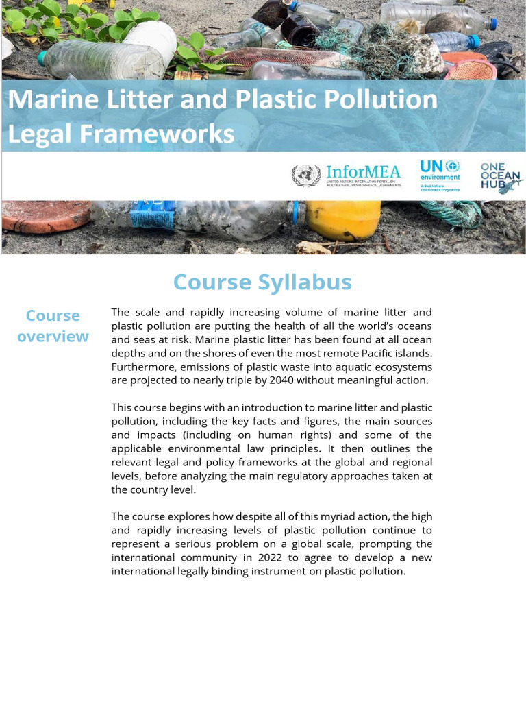 Marine Litter and Plastic Pollution Course | PDF | Pollution ...