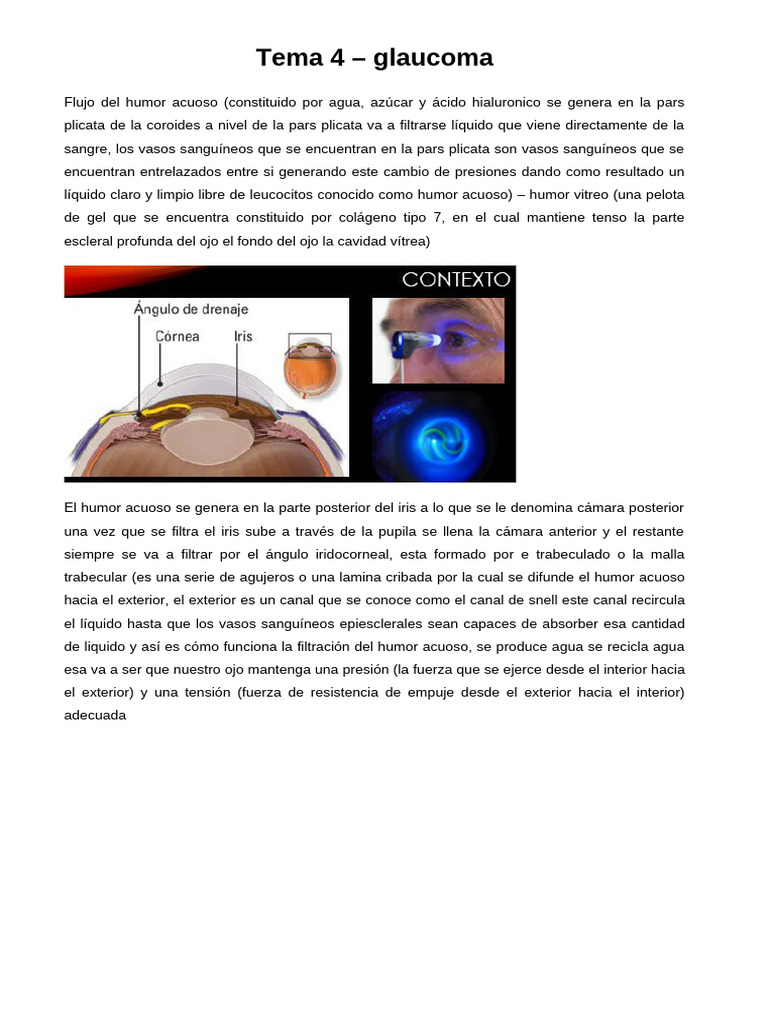 Tema 4 - glaucoma | PDF | Glaucoma | Percepción visual