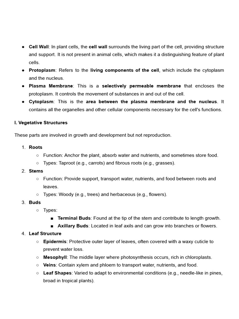 Introduction To Plant Biology Practical Work - Summarized | PDF | Stoma ...