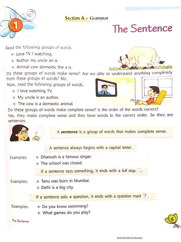 Class 3 English Grammar | PDF
