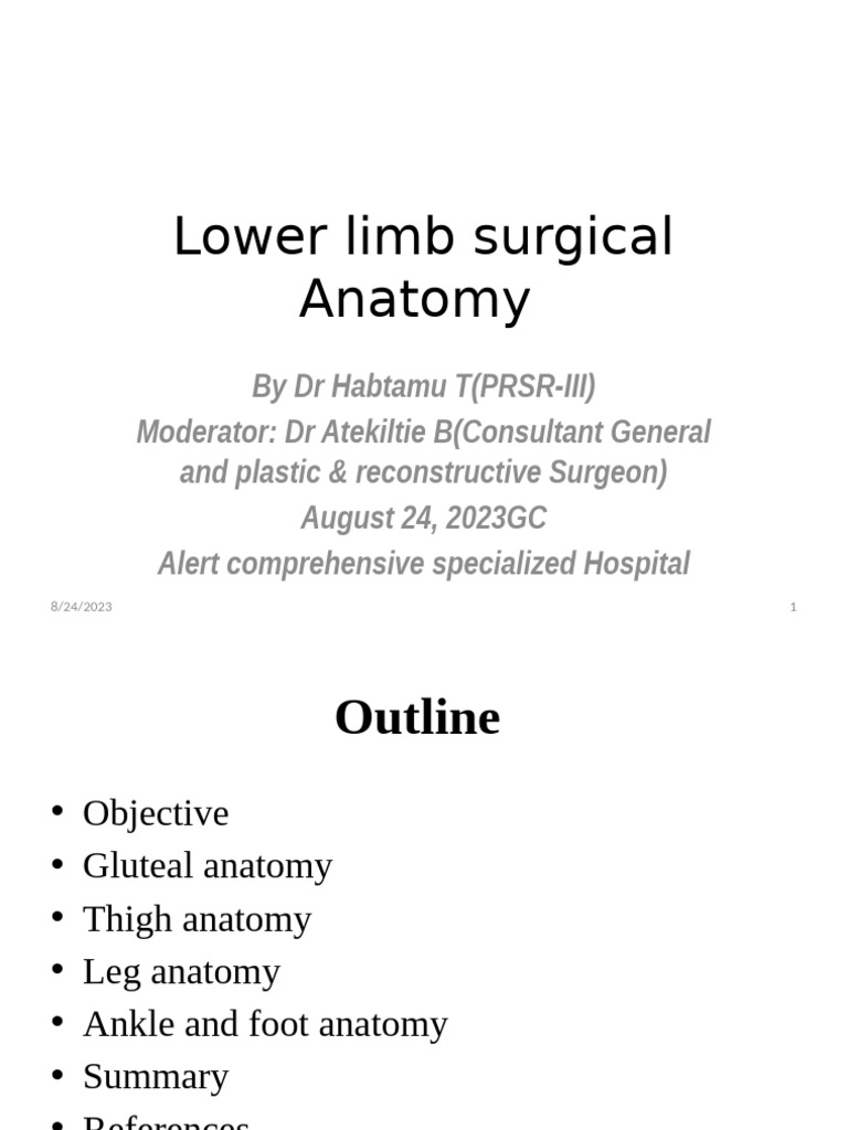 Lower Limb Surgical Anatomy | PDF | Human Leg | Ankle