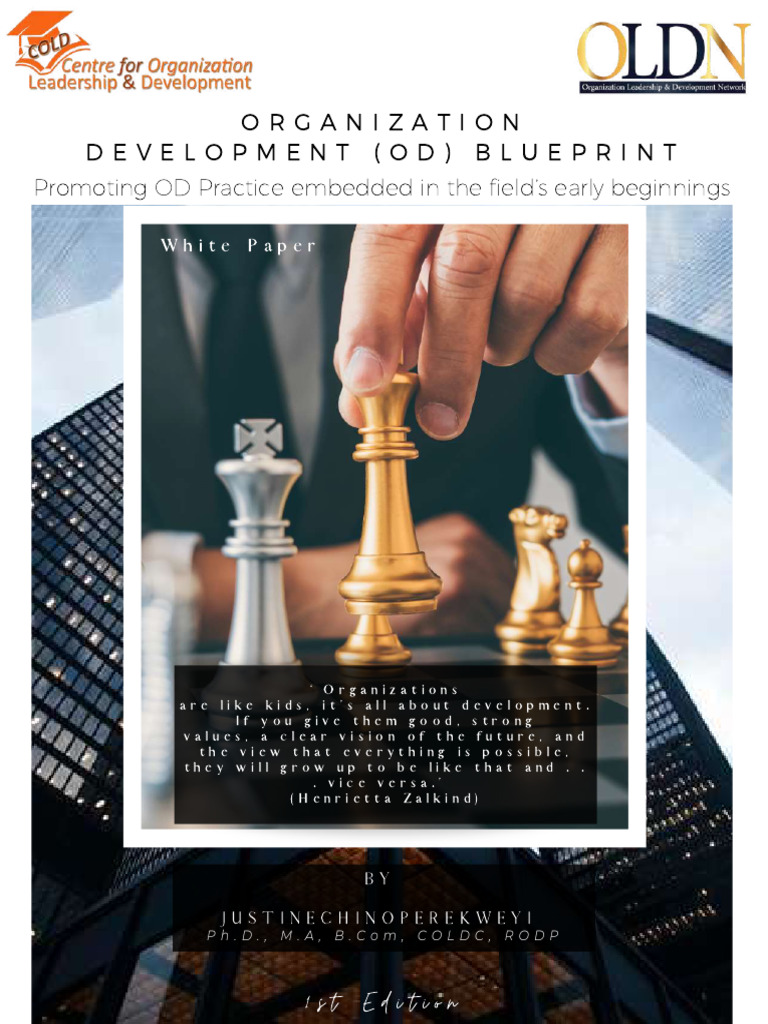 Organization Development Blueprint Pdf Organization Development