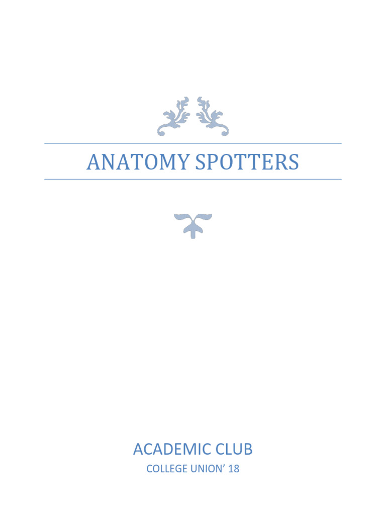 Upper Limb Spotters-1 - 075325 | PDF | Arm | Hand