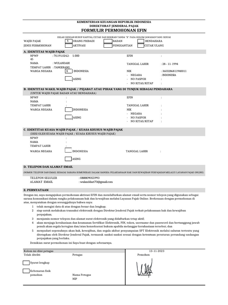 Form Permohonan EFIN (PDF Isian) | PDF