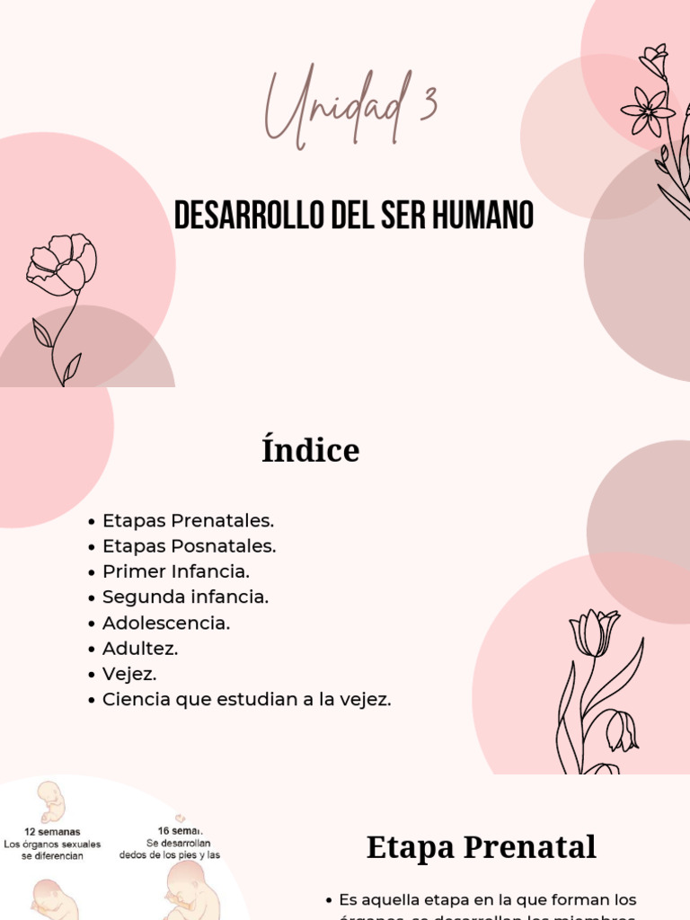 Unidad 3 | PDF | Vejez | Ciencias del comportamiento