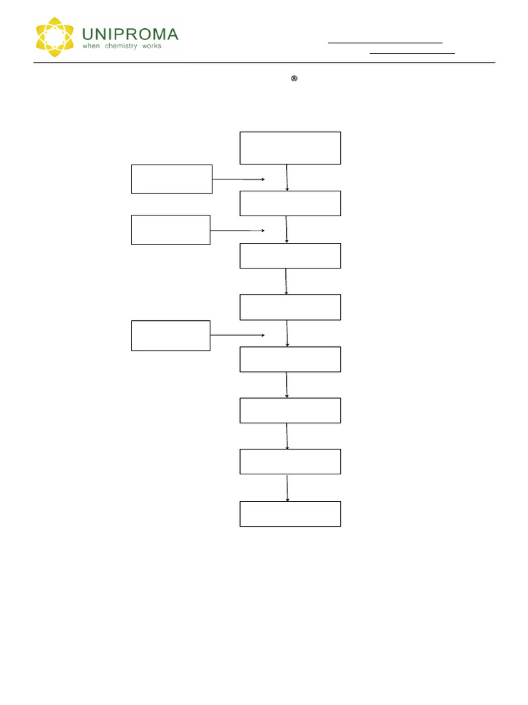 Flowchart Promacare Alt | PDF