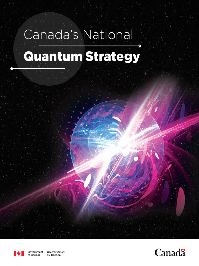 NQS SQN Eng | PDF | Computer Security | Security