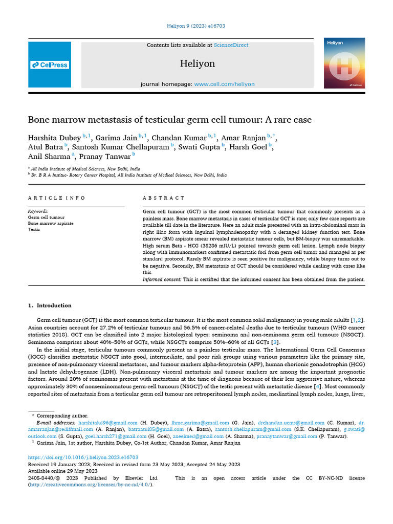 Bone Marrow Metastasis of Testicular Germ Cell Tum | PDF | Metastasis ...