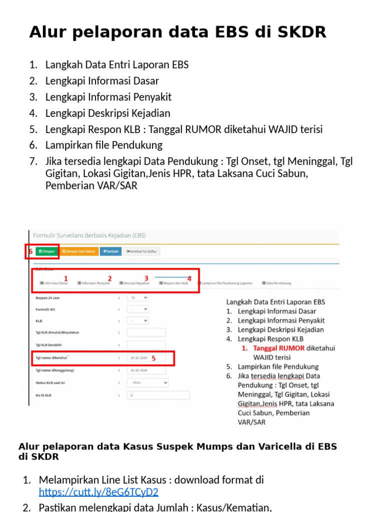 Alur Pelaporan SKDR EBS 11 Nov 2024 | PDF