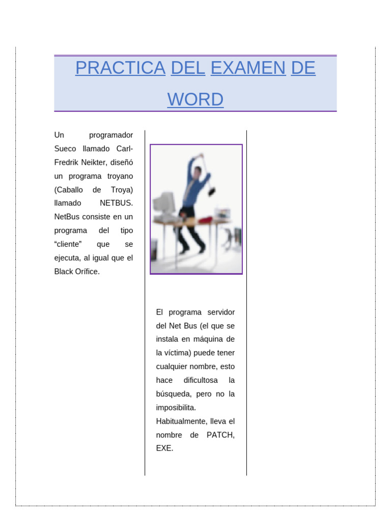 NetBus y Funciones de Word | PDF