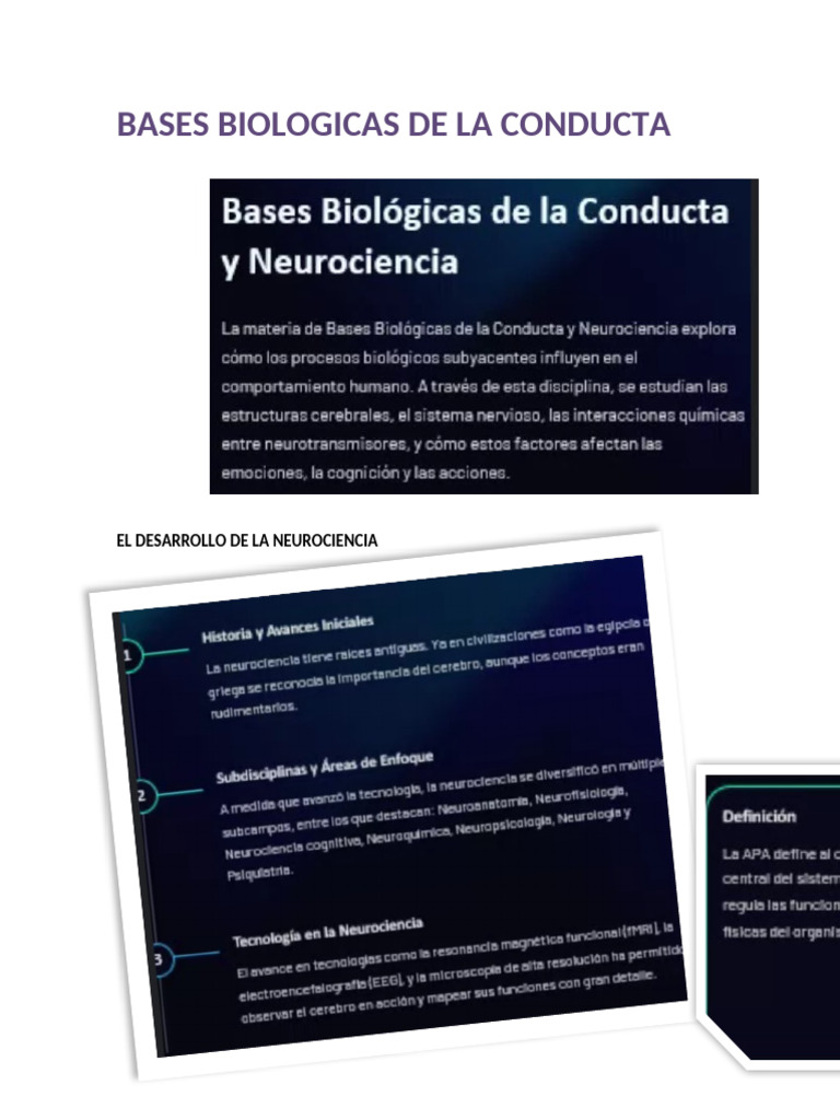 Bases Biológicas y Neurociencia | PDF