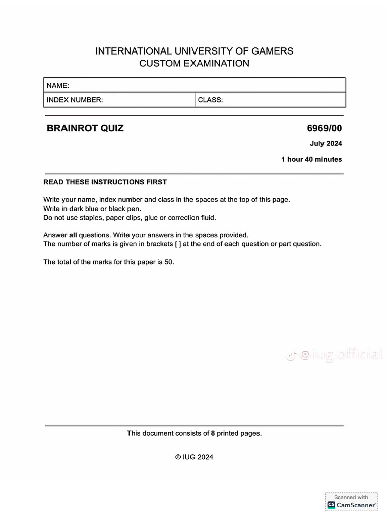 Brainrot Examination 2024 | PDF