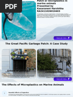 Plastic Pollution Presentation | PDF