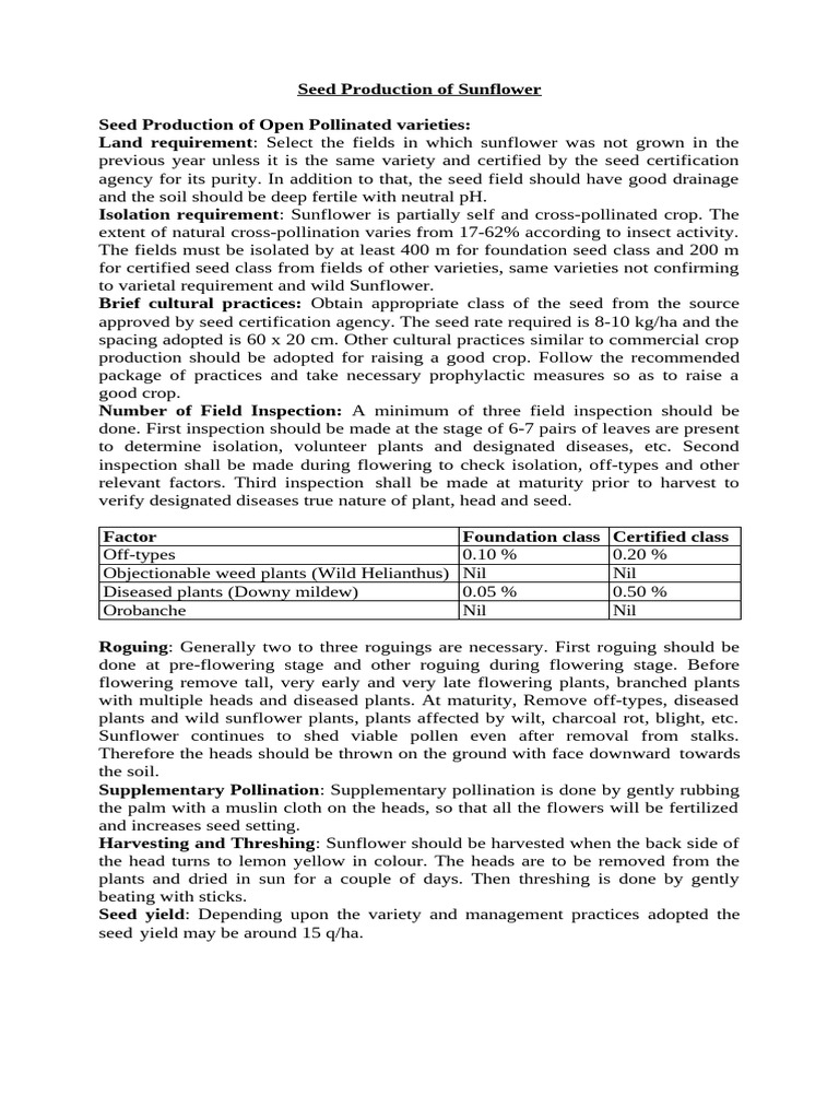 Sunflower Seed Production Guide | PDF | Pollination | Hybrid (Biology)