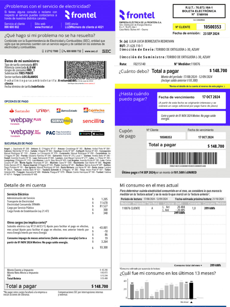 Boleta PDF | PDF | Cantidades fisicas | Ingenieria Eléctrica