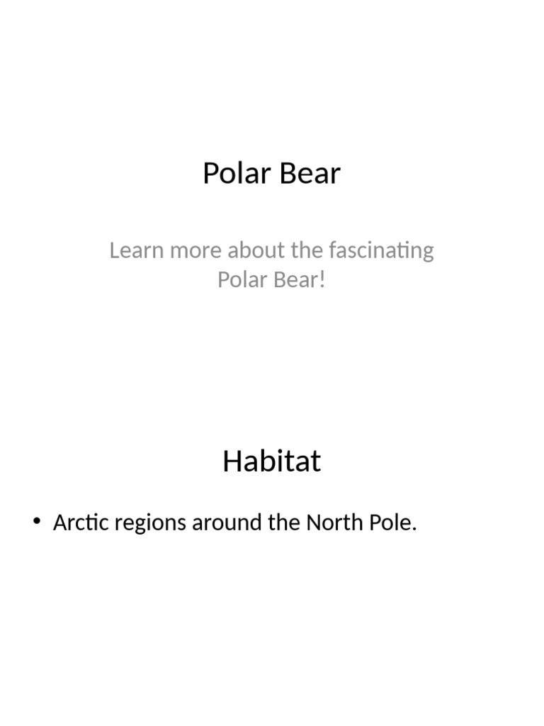 Polar Bear - Presentation | PDF