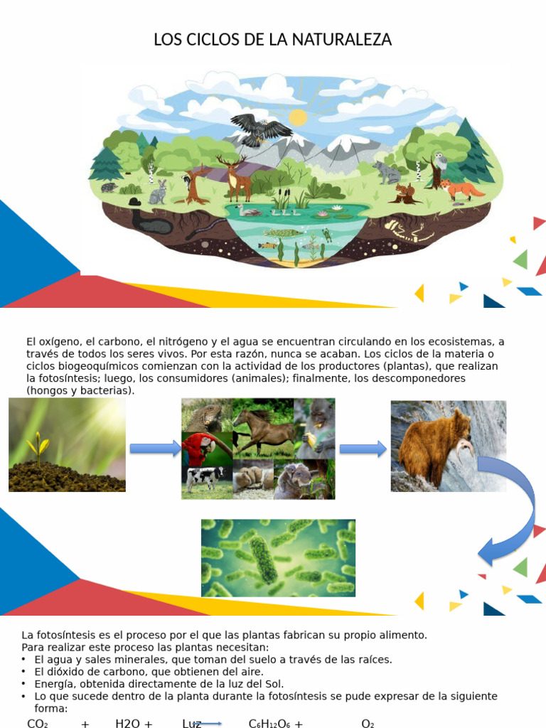 Los Ciclos de La Naturaleza | PDF