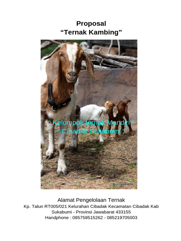 proposal kambing | PDF