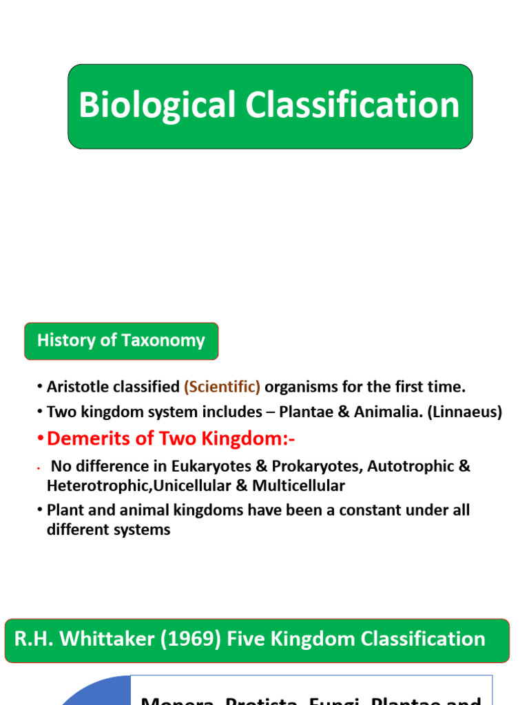 Biological Classification | PDF | Fungus | Protozoa