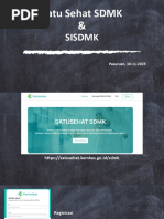 Manual Guide SATUSEHAT SDMK | PDF