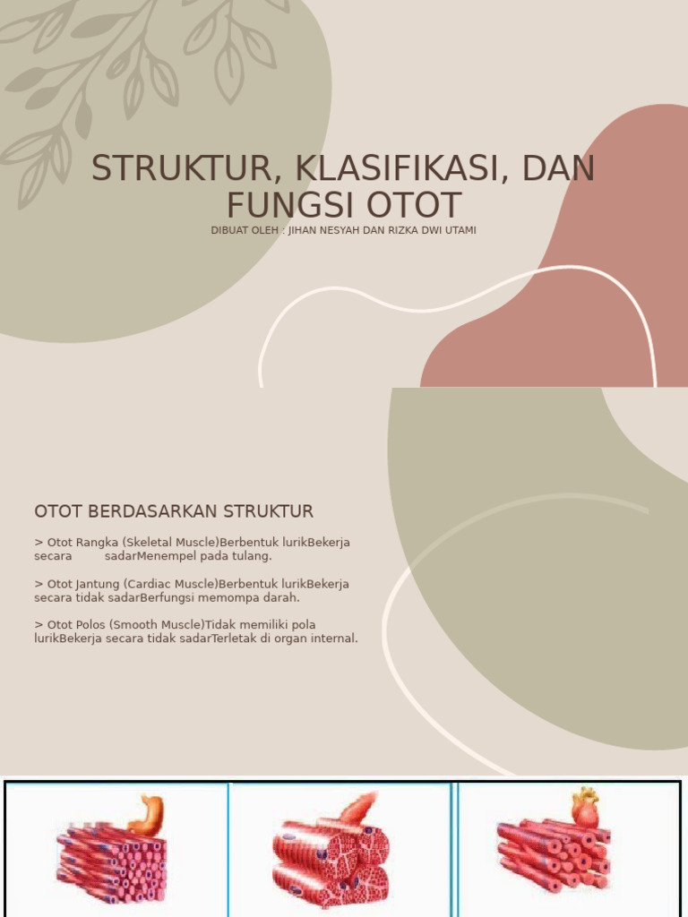 Struktur Klasifikasi Dan Fungsi Otot | PDF
