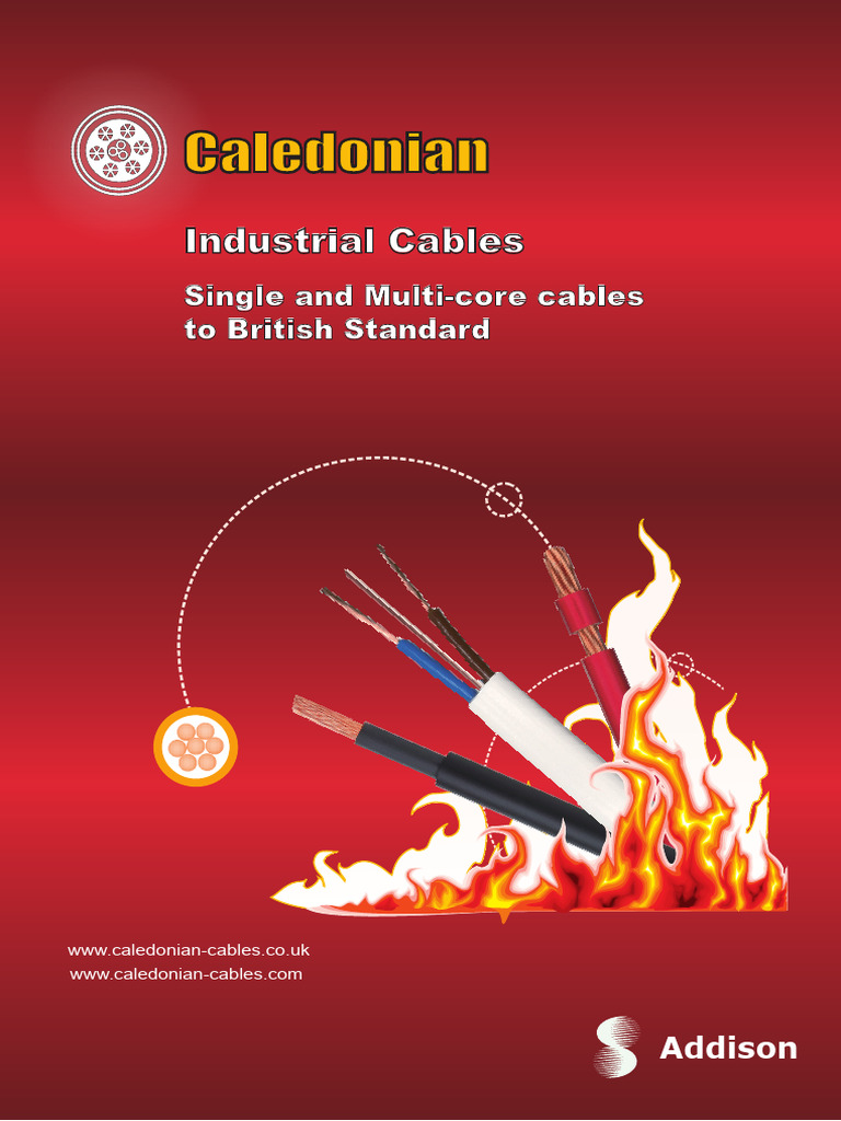 Industrial Cables To BS Standard | PDF | Electrical Wiring | Insulator ...