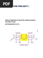AQA GCSE Biology: Enzyme pH Practical | PDF | Ph | Enzyme