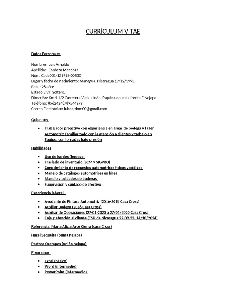 Curriculum Vitae 2024 | PDF